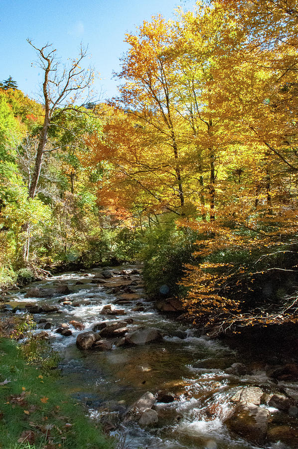Fall River Photograph by Ray Carson - Fine Art America