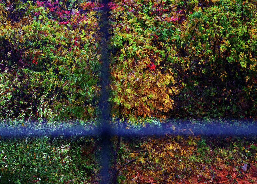 Fall, Out The Window Photograph by David Beard - Fine Art America