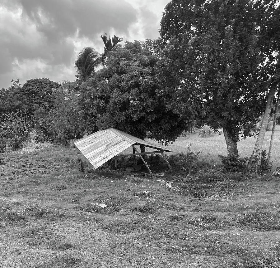 Falling Down Photograph by William E Rogers - Pixels