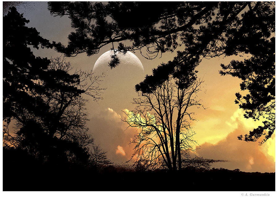 Fantasy Moonrise through a Forest Clearing Photograph by A Macarthur ...