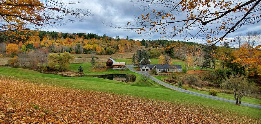 Farm view Photograph by Tammy Sullivan - Fine Art America