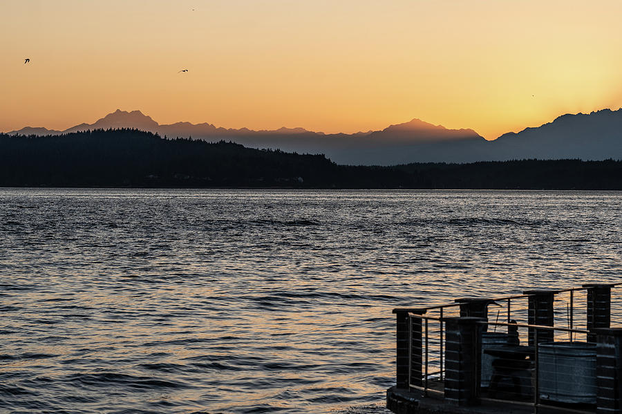 Ferry side Sunset Photograph by Adrian Etheridge - Fine Art America