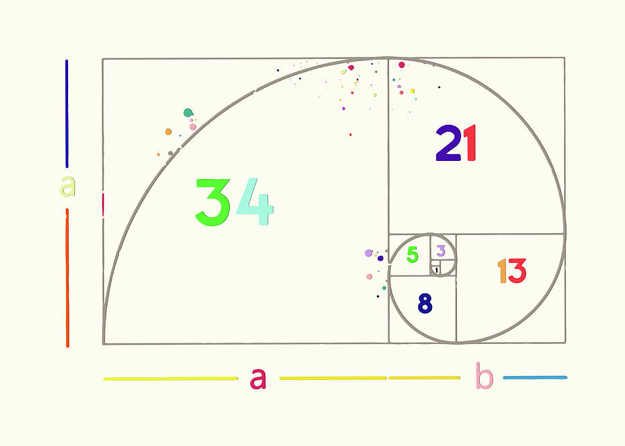 Fibonacci Spiral Drawing by Leith Huber - Fine Art America