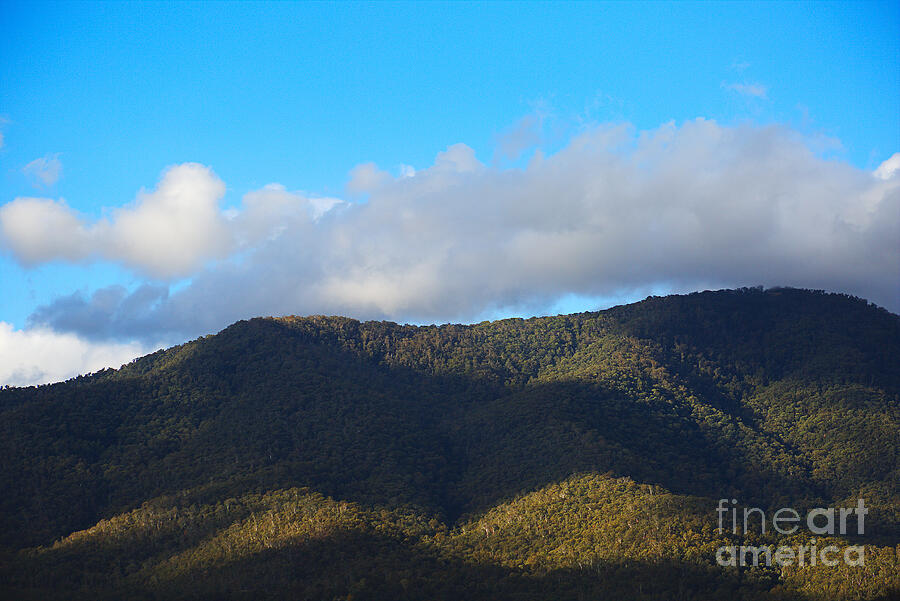 Filtered Light Mount Emu by Joy Watson