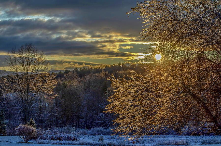 First Snow November 2019 Photograph by Mark Schiffner - Fine Art America