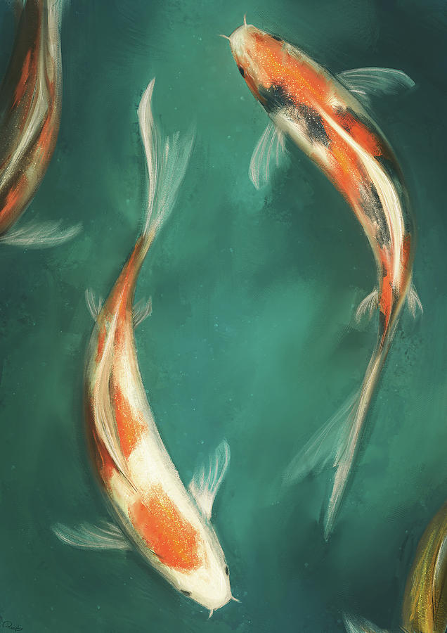 Fish Digital Art by Raphaela Springer - Fine Art America