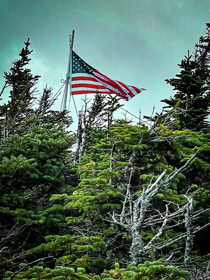 Flags of the 48 Photograph by David Hahn | Fine Art America