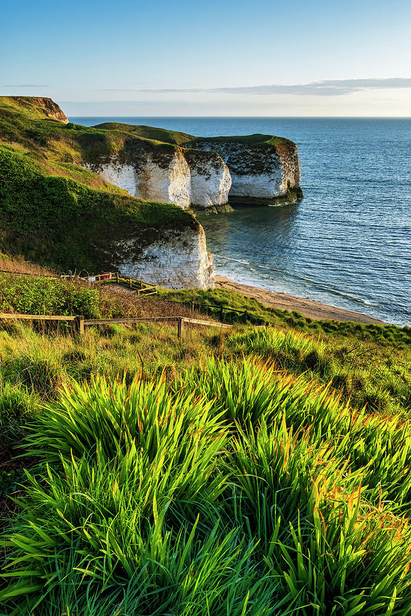 Flamborough Head Cliffs in Springtime Photograph by Tim Hill - Fine Art ...