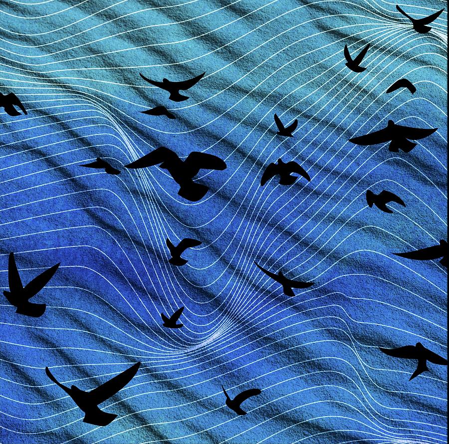 Flight Path Digital Art by Jonathan Bedley - Fine Art America