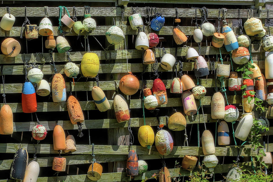 Float Collection Photograph by Dan Ledbetter - Fine Art America