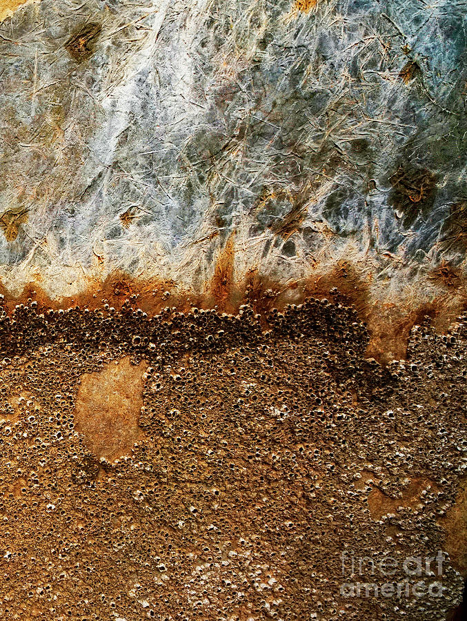 Float Photograph by Mark Haynes - Fine Art America