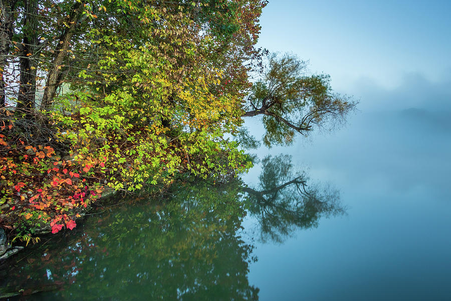 Floating Fall Photograph by Jack Clutter - Fine Art America