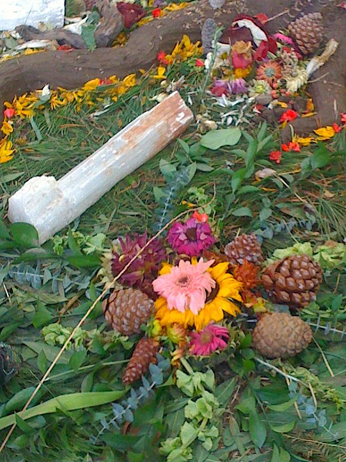 Floral Array Photograph by Suzanne Maxwell | Fine Art America