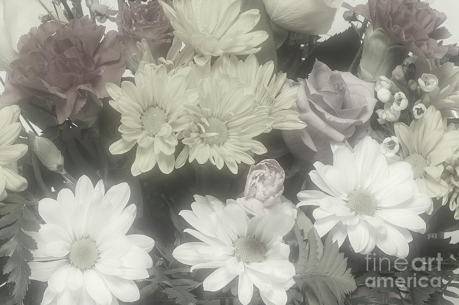 Flower Bouquet Diffused Photograph by Gary Silverstein - Fine Art America
