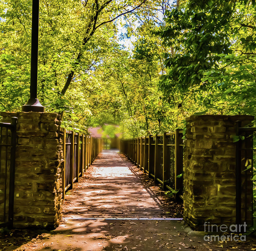 Footbridge in the park Photograph by Julie Ann Reed - Pixels