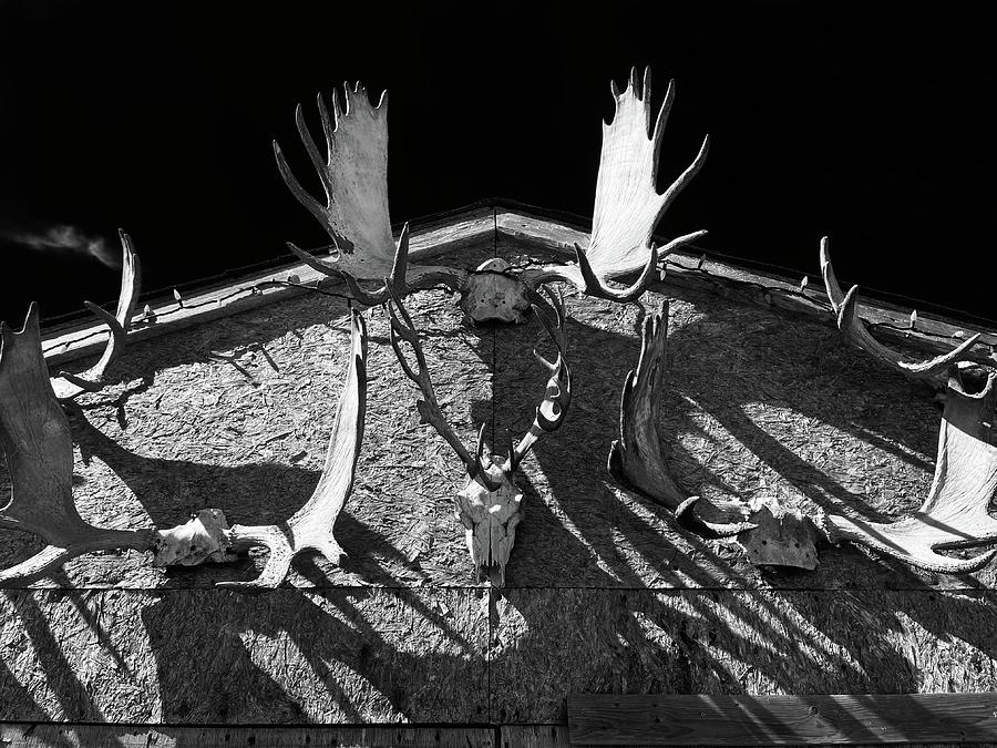 Forboding Photograph by Jason Tompkins - Fine Art America