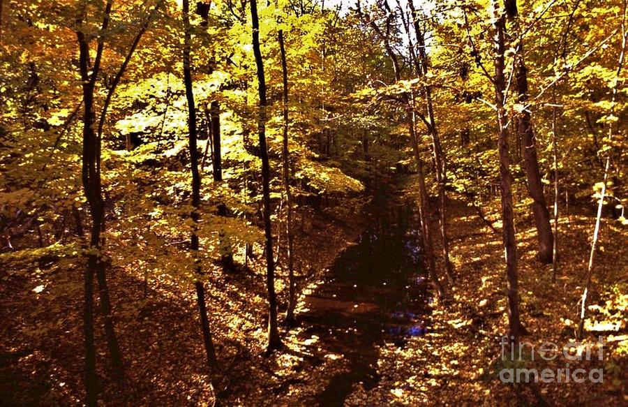 Fox Creek Autumn Chain O Lakes State Park Indiana Photograph by Rory Cubel - Fine Art America