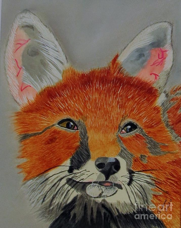 Fox Study Painting by Eileen O'Brian - Fine Art America