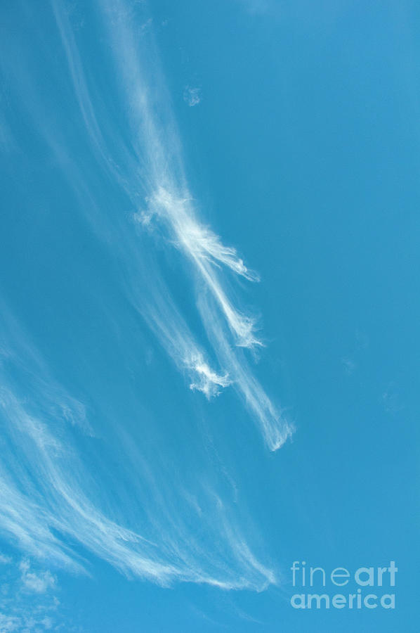 Freefall 2020 Photograph By Michael Ziegler Fine Art America