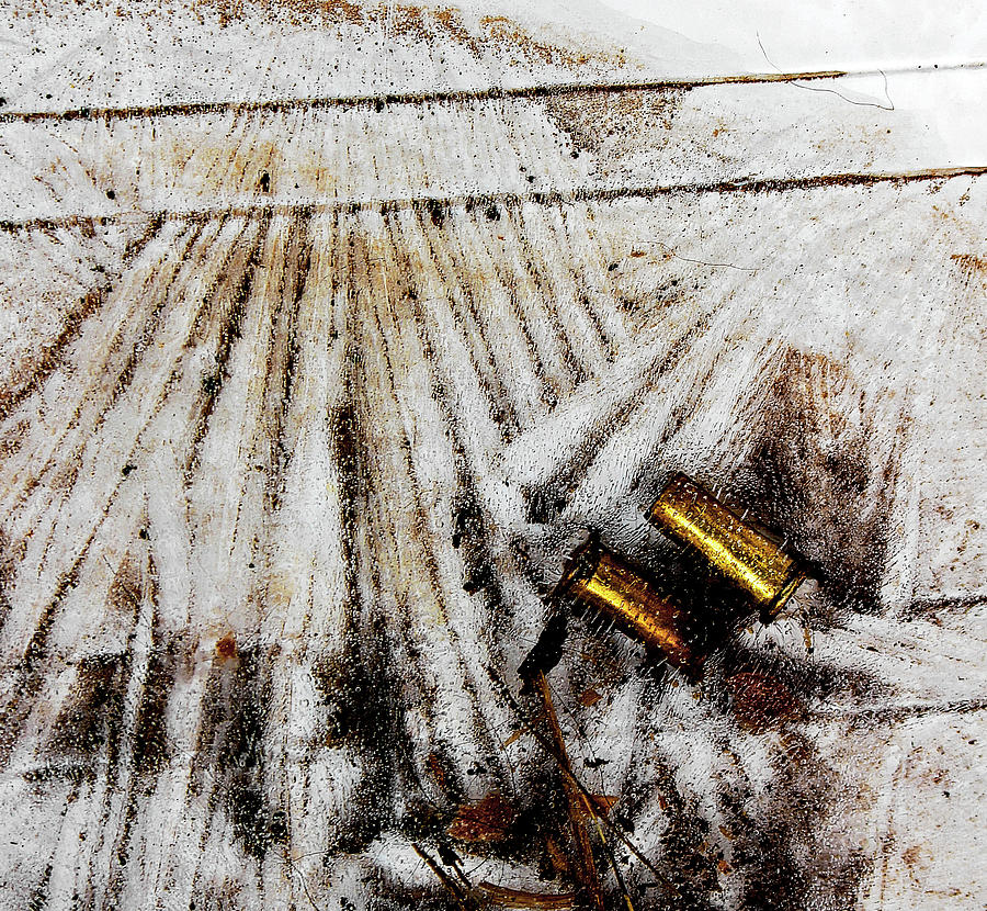 Frozen brass Photograph by Wesley Hahn - Fine Art America