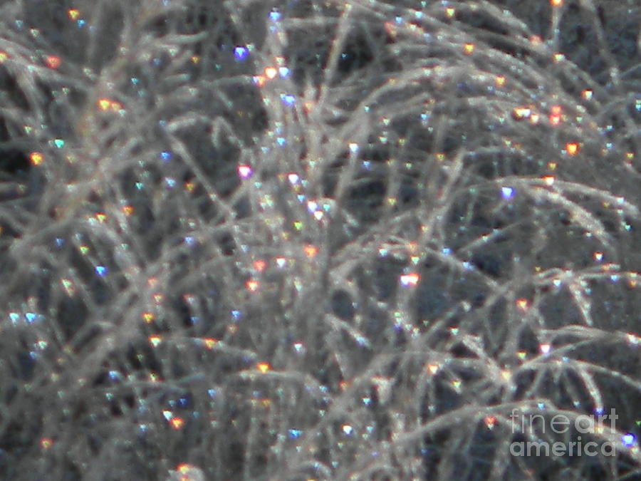 Frozen Glitter Photograph by Nancy Booth | Pixels