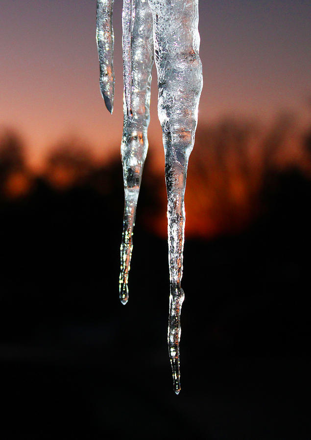 Frozen Light Photograph by Emmaline Pennington | Fine Art America