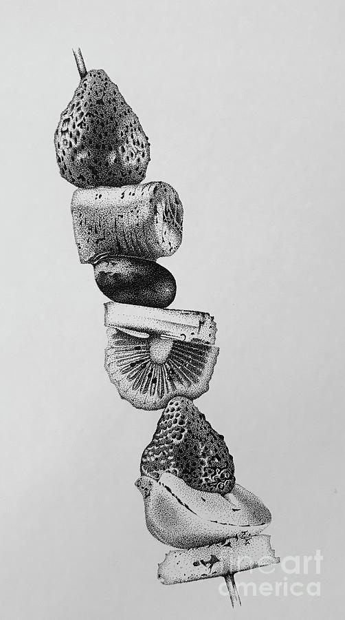 Fruit On A Stick Drawing by Bert Eaglefield - Fine Art America