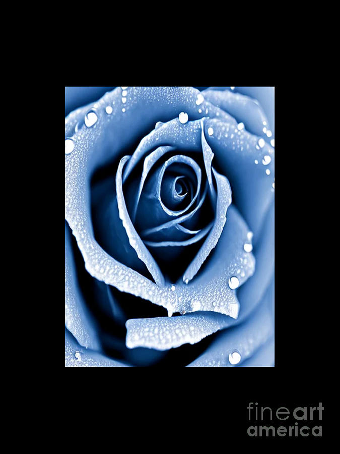 Galaxy Blue Rose Nature Flowers Photograph by Alicia Allison - Pixels