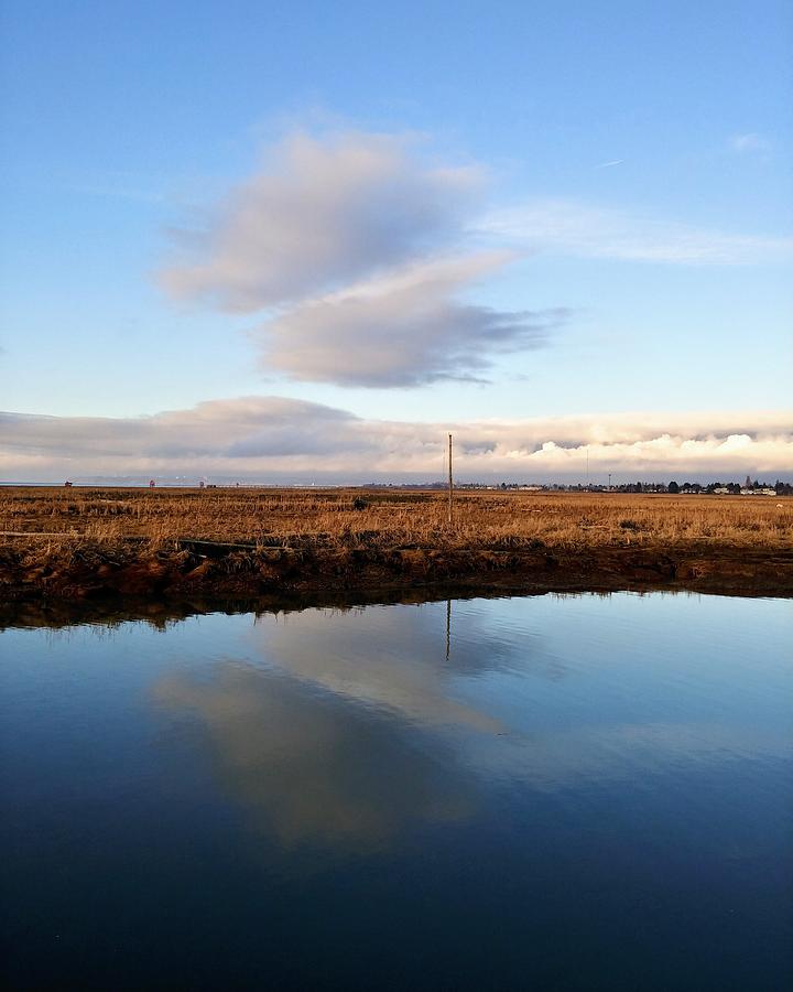 Gary Point Reflection Photograph by Darrell MacIver - Fine Art America