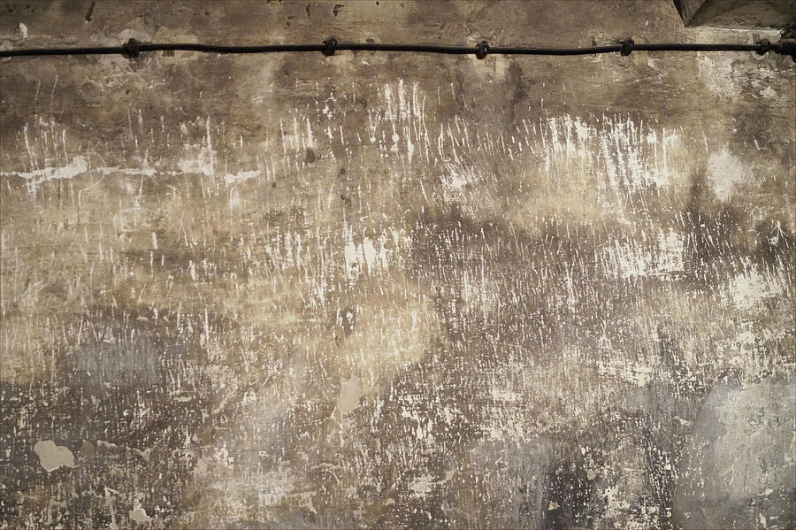 Gas Chamber, Auschwitz Photograph by Flyz 1 - Fine Art America