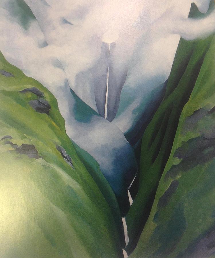 Georgia O'Keeffe The Shapes of Nature Painting by Ilyas Dani - Fine Art ...