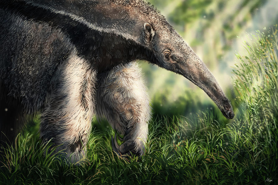 Giant Anteater Digital Art by Alandodrawing Art Shop - Pixels