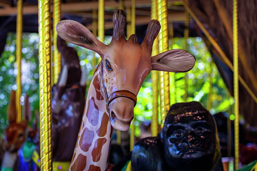 Giraffe Carousel Amusement ride Photograph by Garry Gay | Pixels