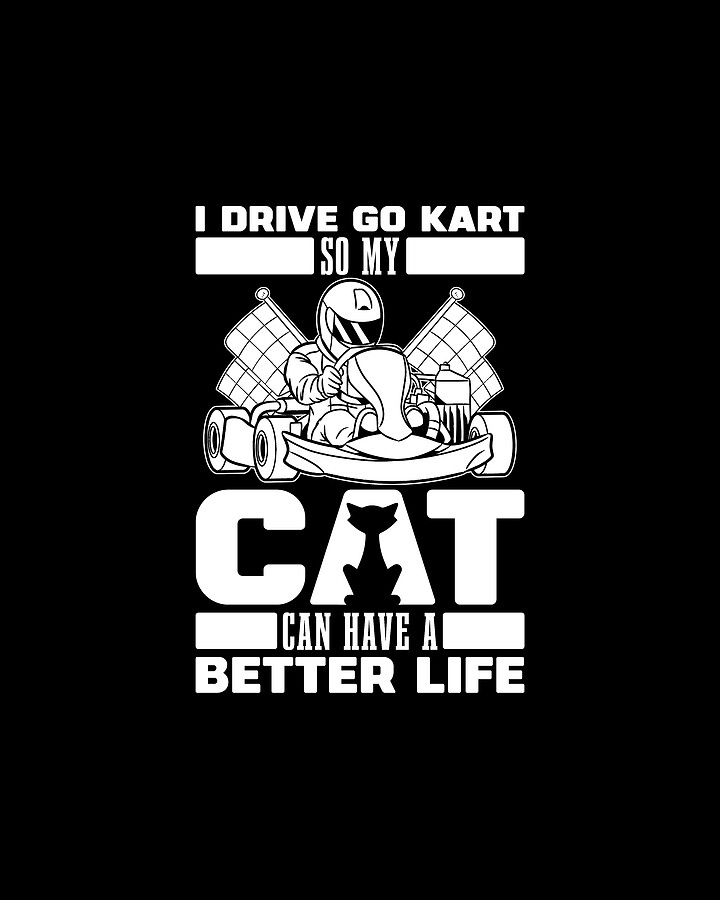 Go Kart Cat Race - Racer Karting Digital Art by Crazy Squirrel - Fine Art America