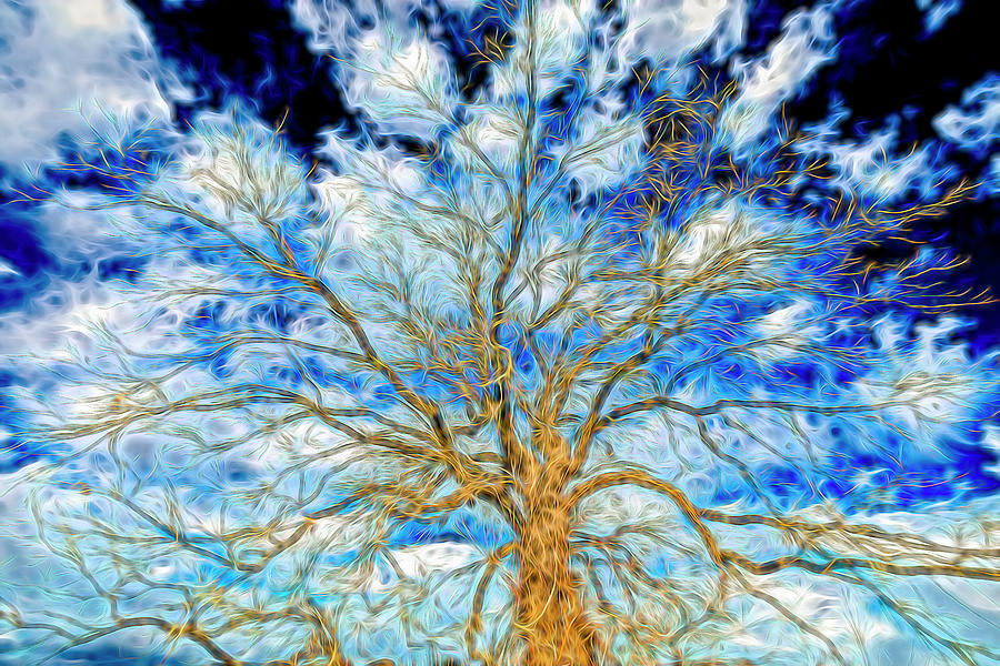 Going Crazy Abstract Photograph by Todd Reese | Fine Art America