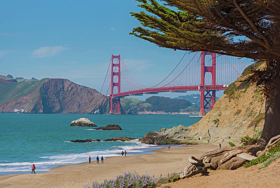 Golden Gate Landscape Digital Art by Lucia Vega - Fine Art America