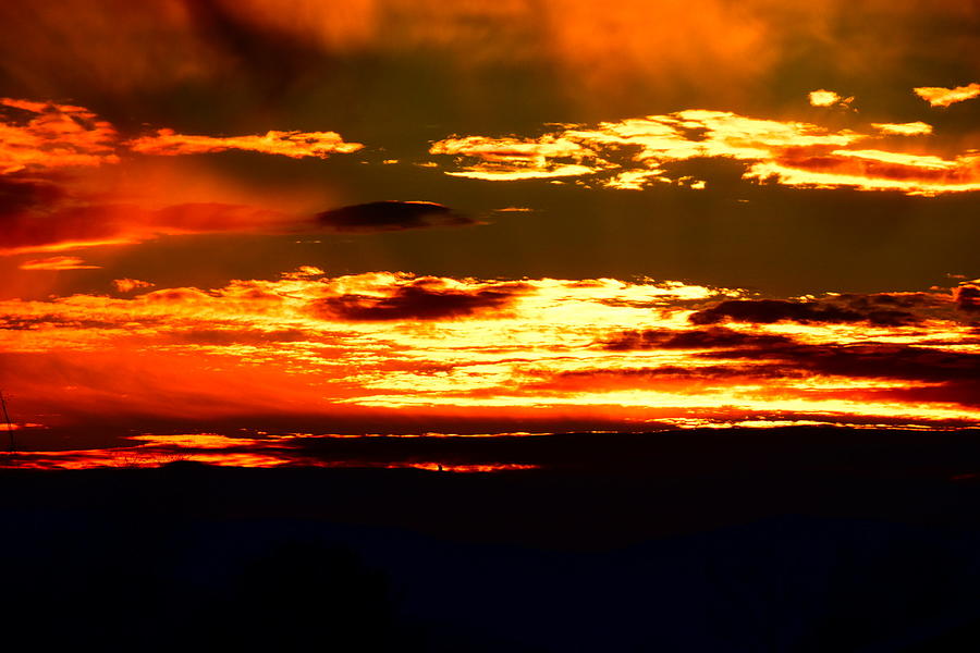 Golden hues Photograph by Deanna Baldwin - Fine Art America