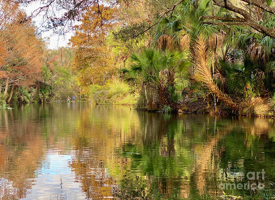Golden Reflection Photograph by Skye Winter - Pixels