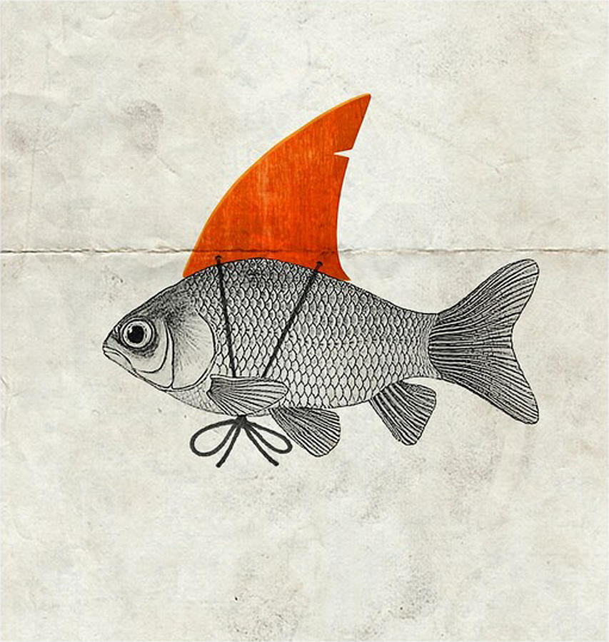 Goldfish with a Shark Fin Digital Art by Gwen Lewis - Fine Art America