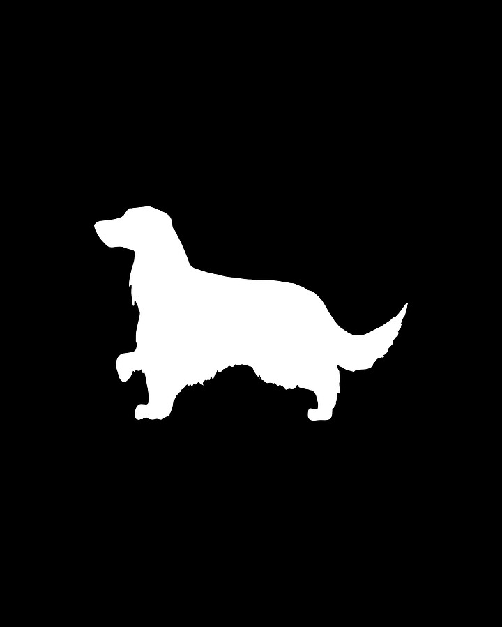 Gordon Setter Dog Silhouette Digital Art by Kevin Garbes - Fine Art America