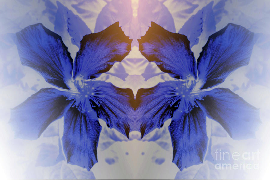 Gradient Mists Digital Art by Raven Deem - Fine Art America