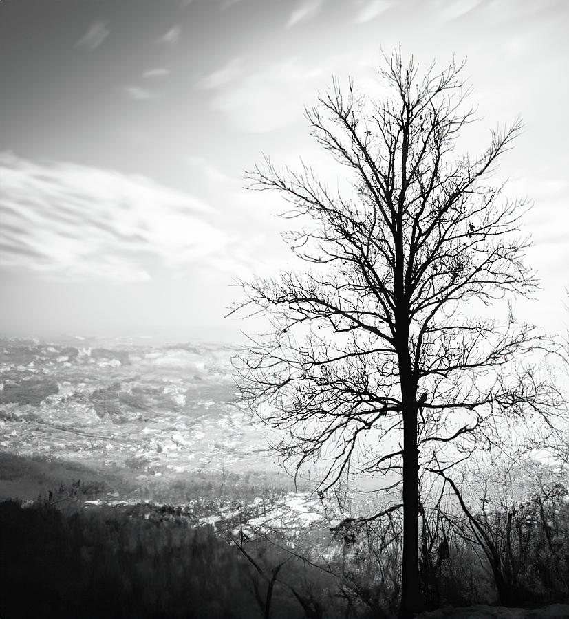 Gradients Photograph by Destiny Fisher - Fine Art America