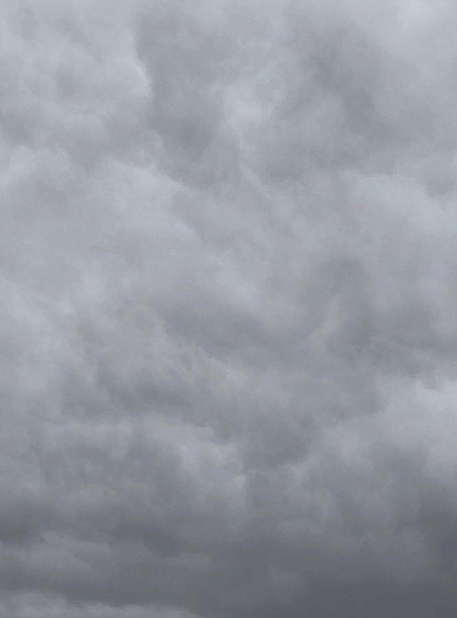 Gray Sky Digital Art by Steve Fields - Fine Art America