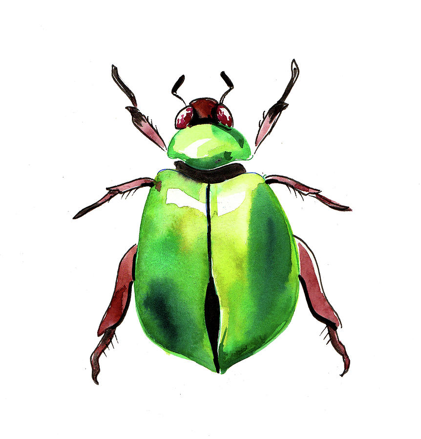 Green Beetle Drawing By Alexander Kuzyuberdin Fine Art America