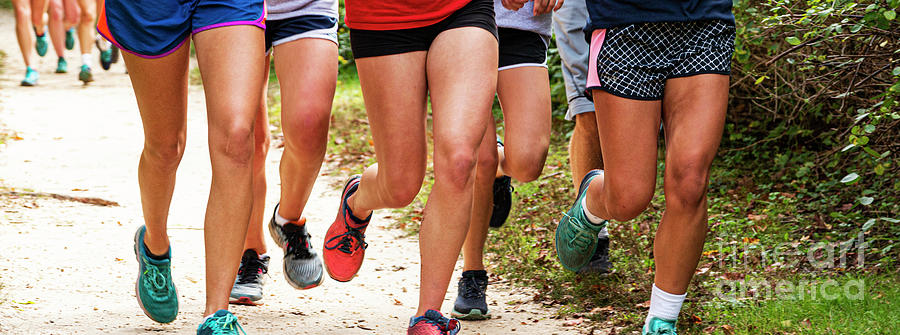 Groups of runners running on a dirt path in the woods Photograph by ...