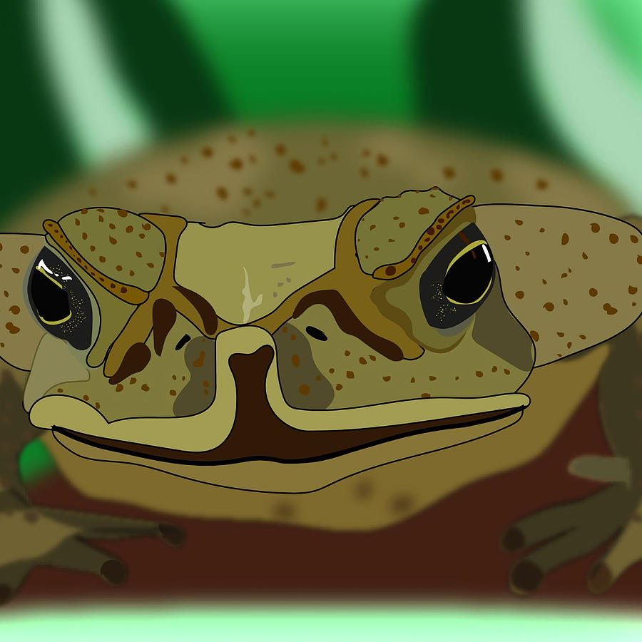 Grumpy cane toad Painting by White Khan | Pixels