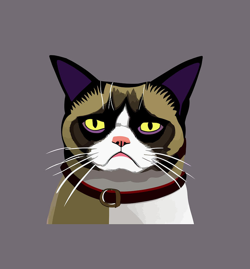 Grumpy Cat Digital Art by Danendra Hardyatama - Fine Art America