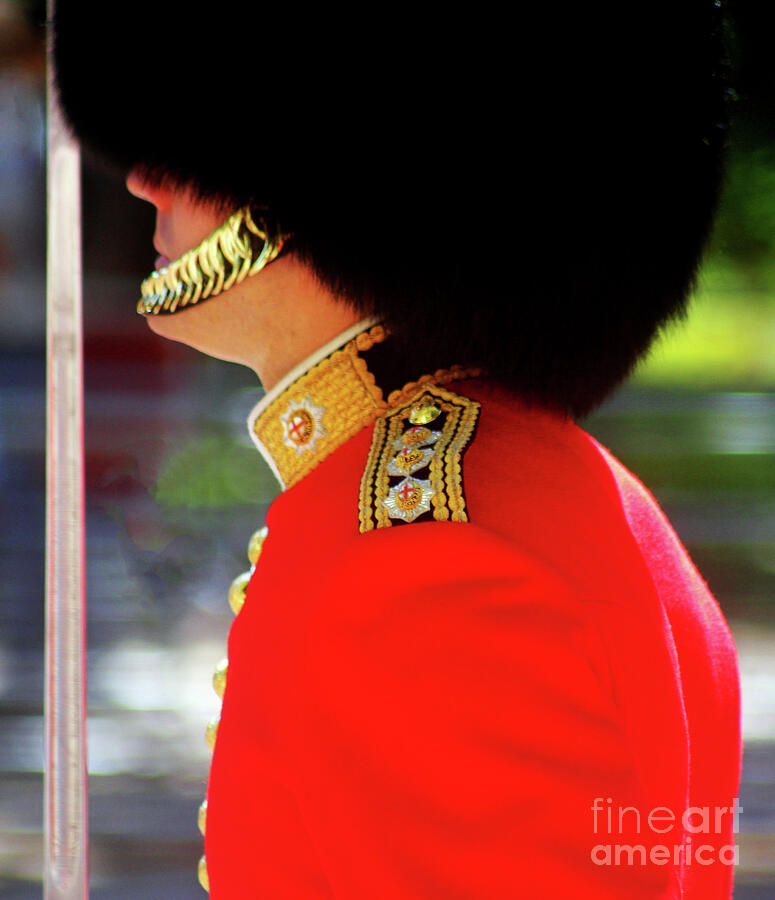 Guardsman Photograph by Carnegie Forty Two - Fine Art America