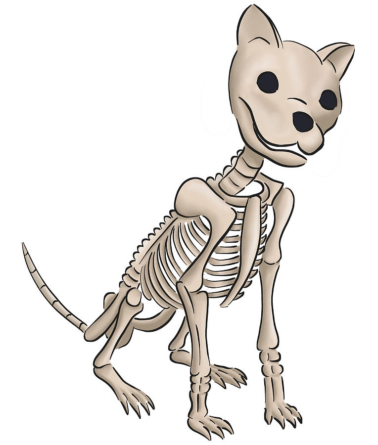 Halloween Skeleton Dog Poster yellow Painting by Will Young - Fine Art ...