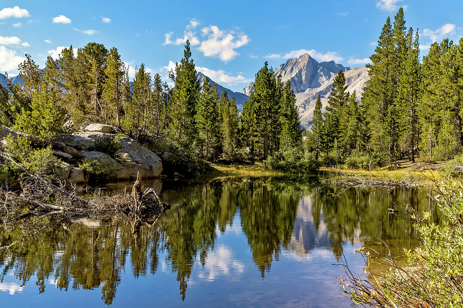 Harmonious Photograph by Kelley King - Fine Art America